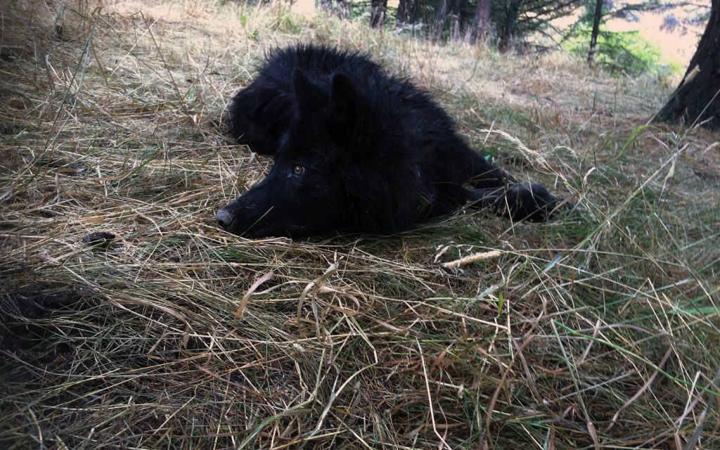 On Land – The voice of stewardship in the American West