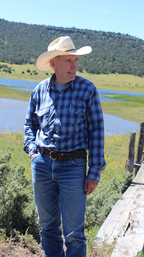 Catron and Apache Counties, New Mexico and Arizona – On Land