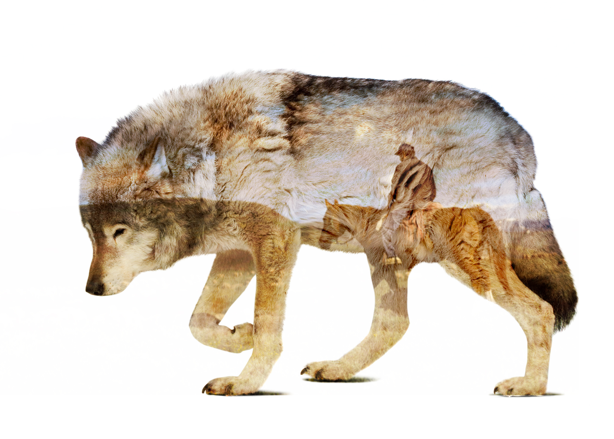Real Life with Wolves – On Land