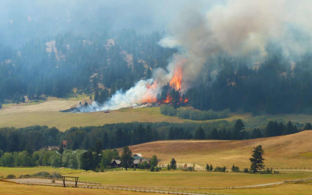 Resources for landowners battling fire and drought – On Land