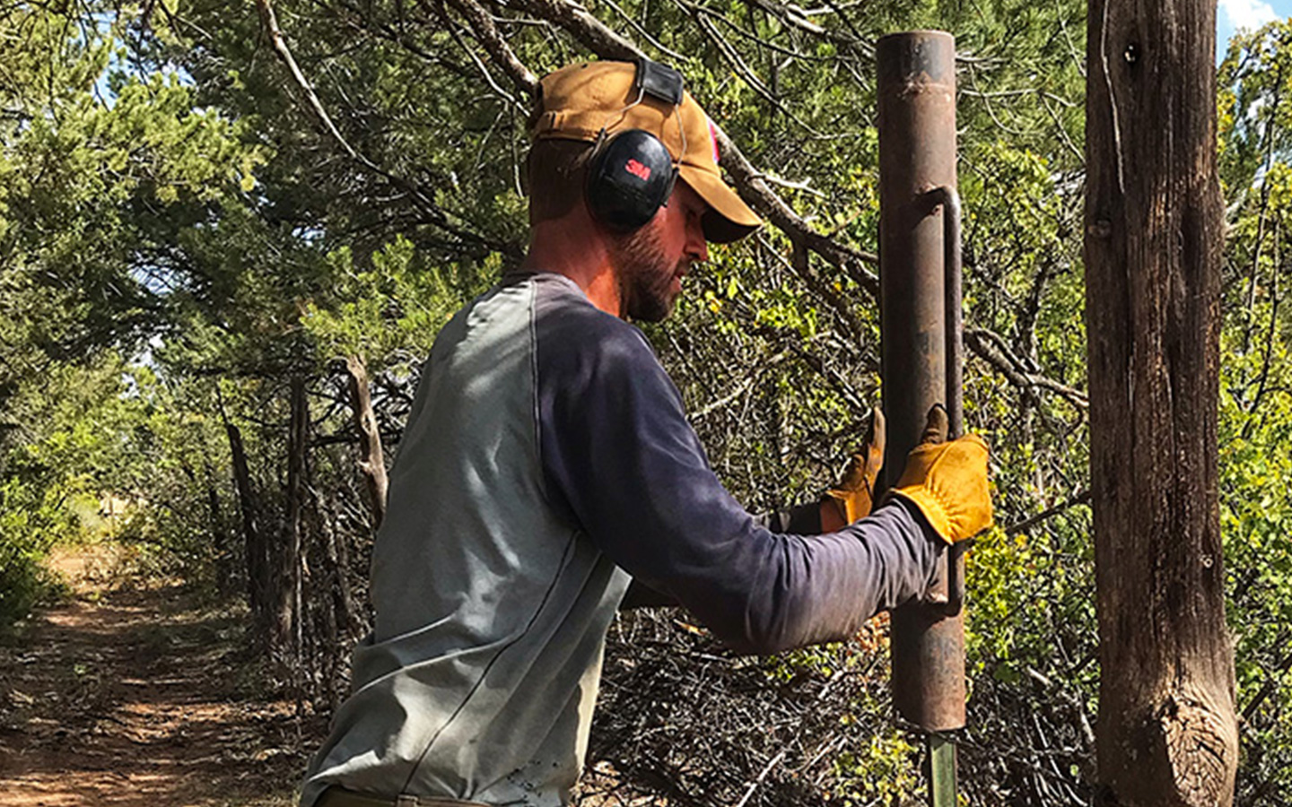 Sarah Gleason takes a deep breath and brings her bison herd home – On Land