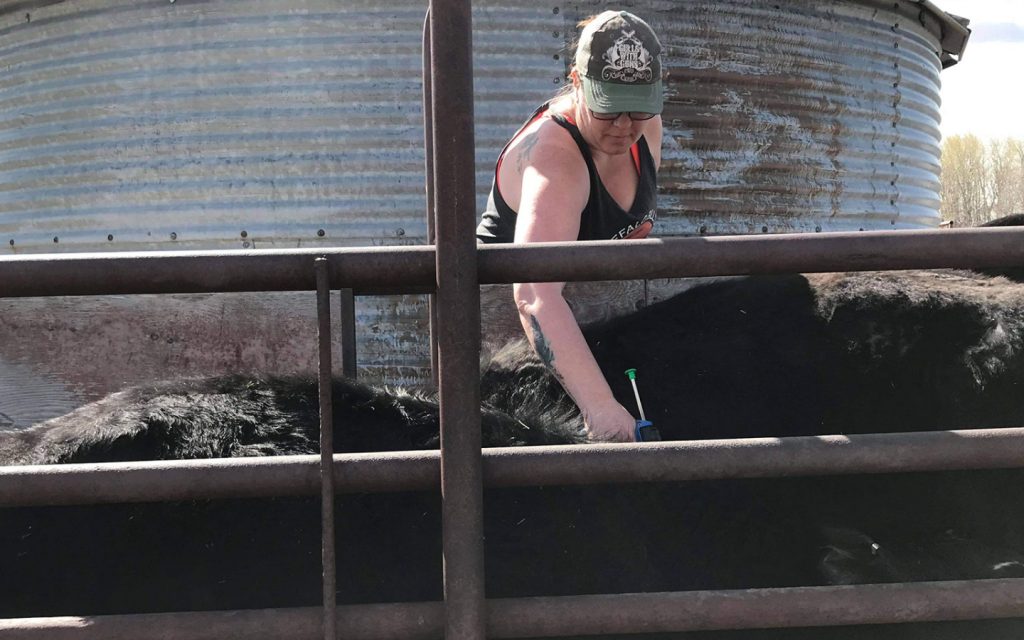 Women in Ranching – On Land