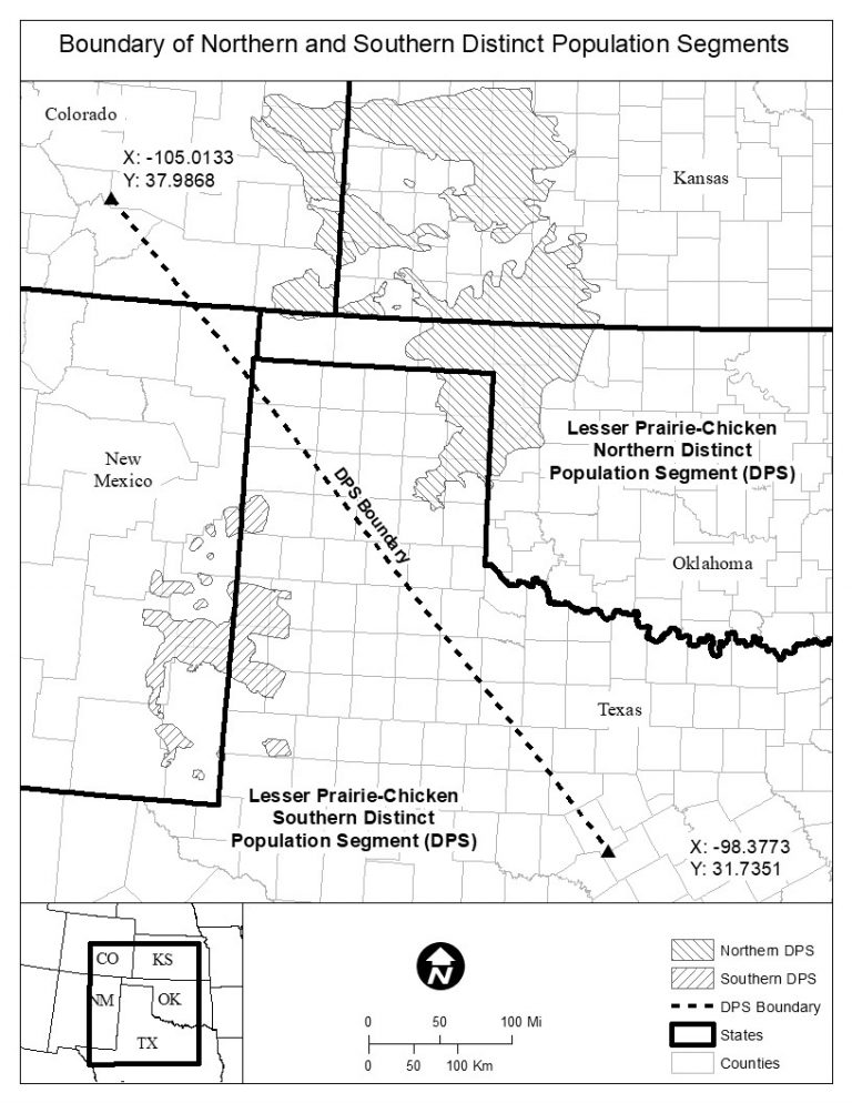 Lesser prairie-chicken facing endangered listing – On Land