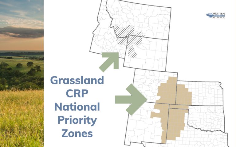 What landowners need to know about Grassland CRP ahead of the August 20 ...