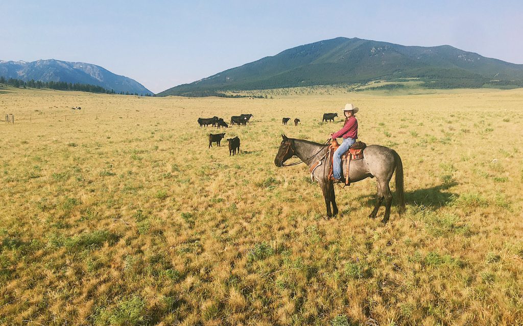 Women in Ranching – On Land