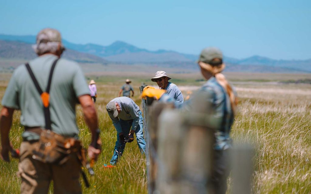 Mastering all aspects of the hunt – On Land