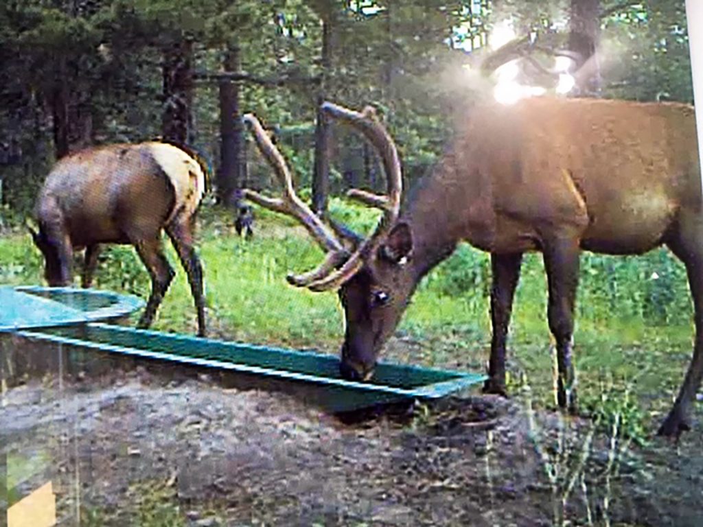 Guzzlers offer simple solution to collect and store water for livestock ...