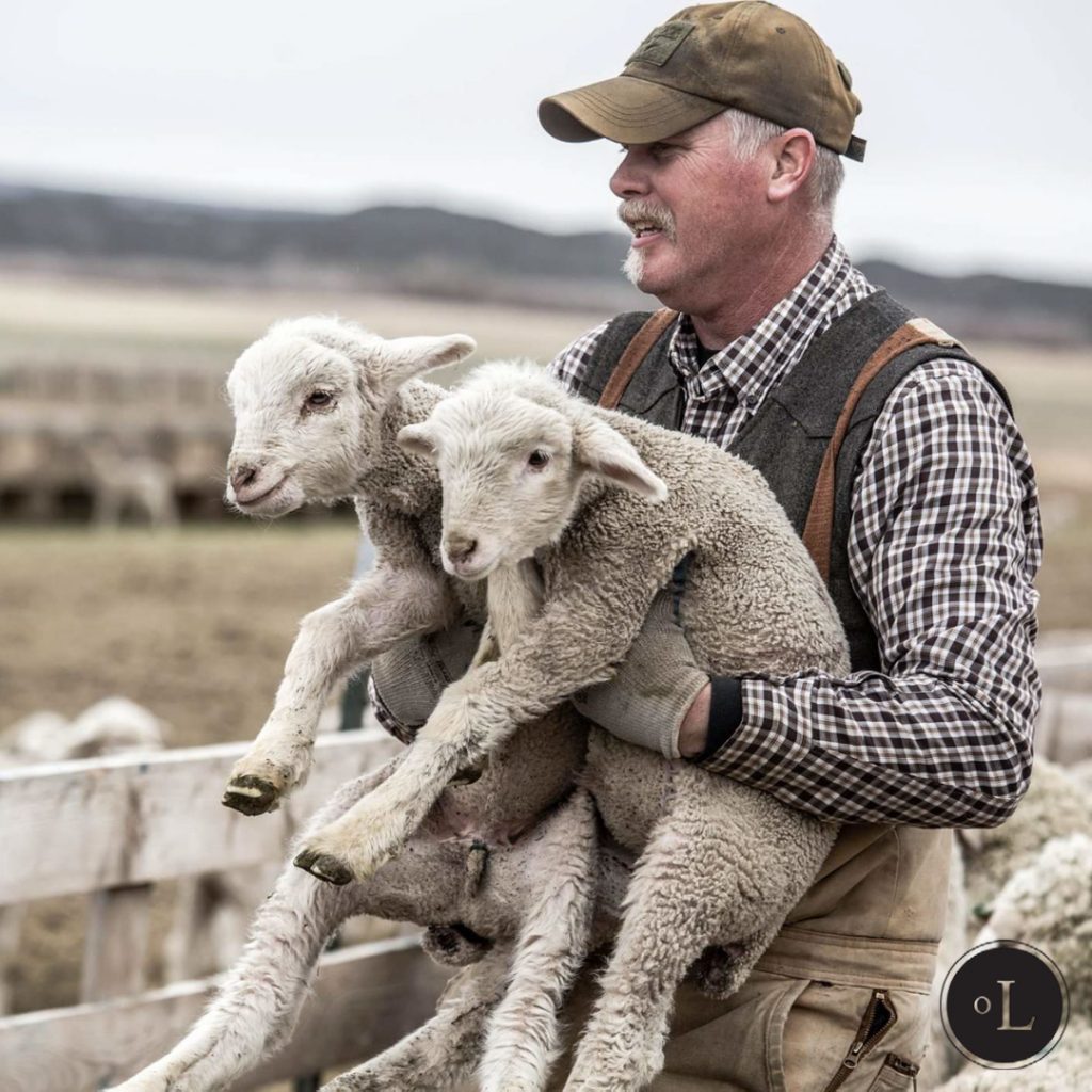 Kurt. A Human of the Working Wild – On Land