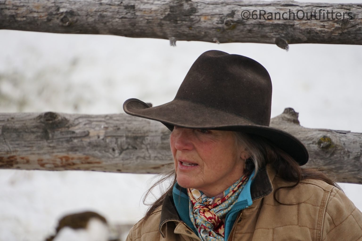 Women in Ranching – On Land