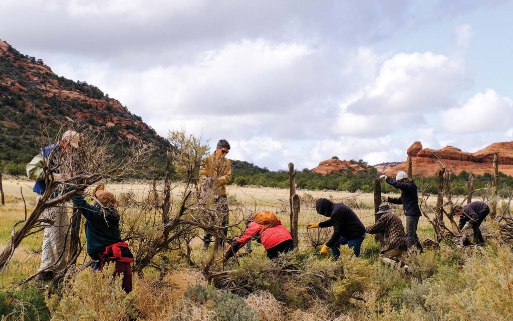 How to collaborate for landscape-scale restoration – On Land