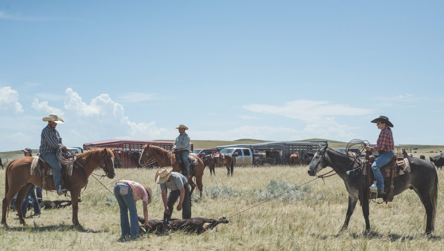 Ranching in reality: A perspective on the future from an old cowboy ...