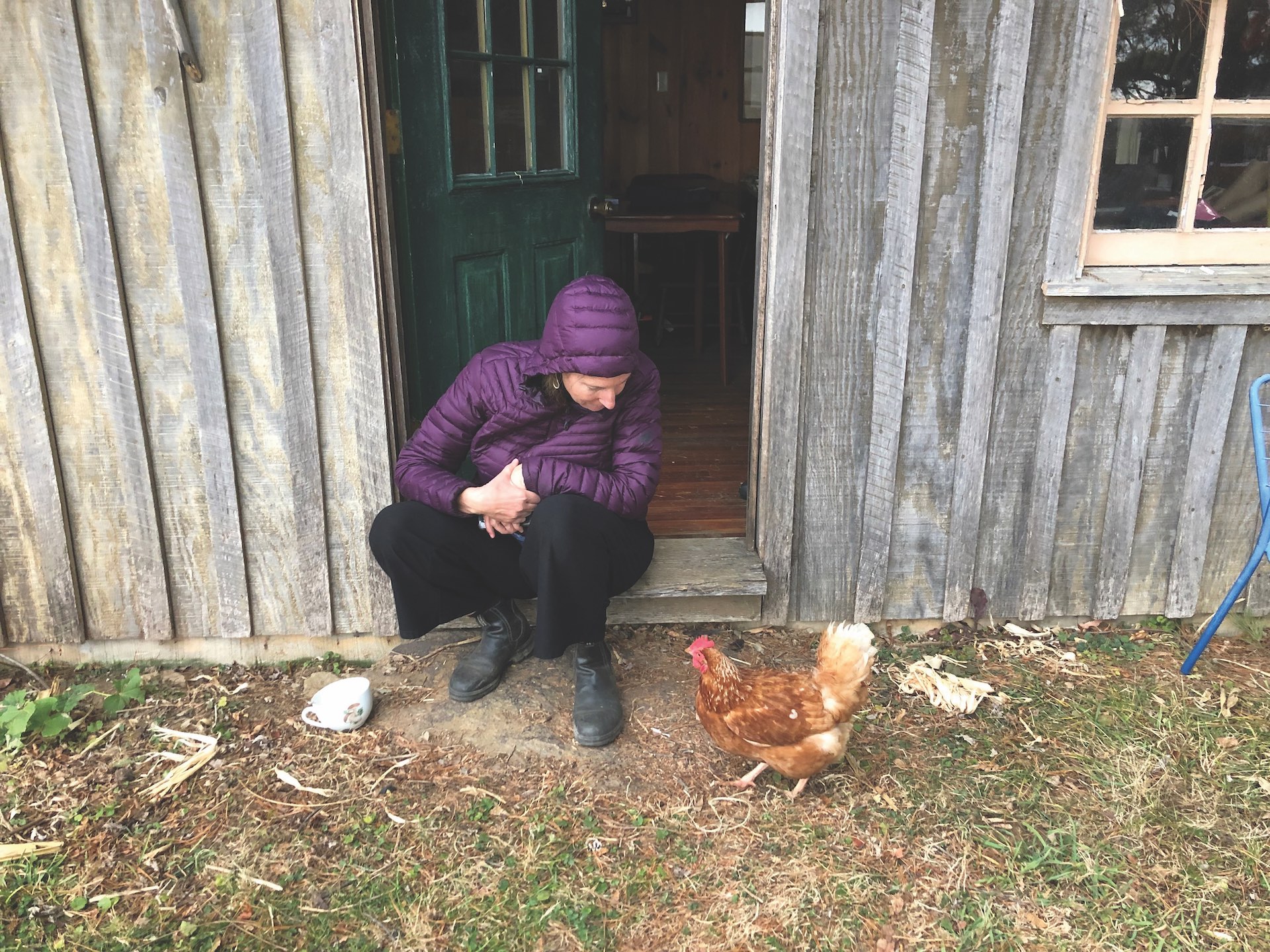 Martha Williams, USFWS director, reflects on the ESA at 50 – On Land