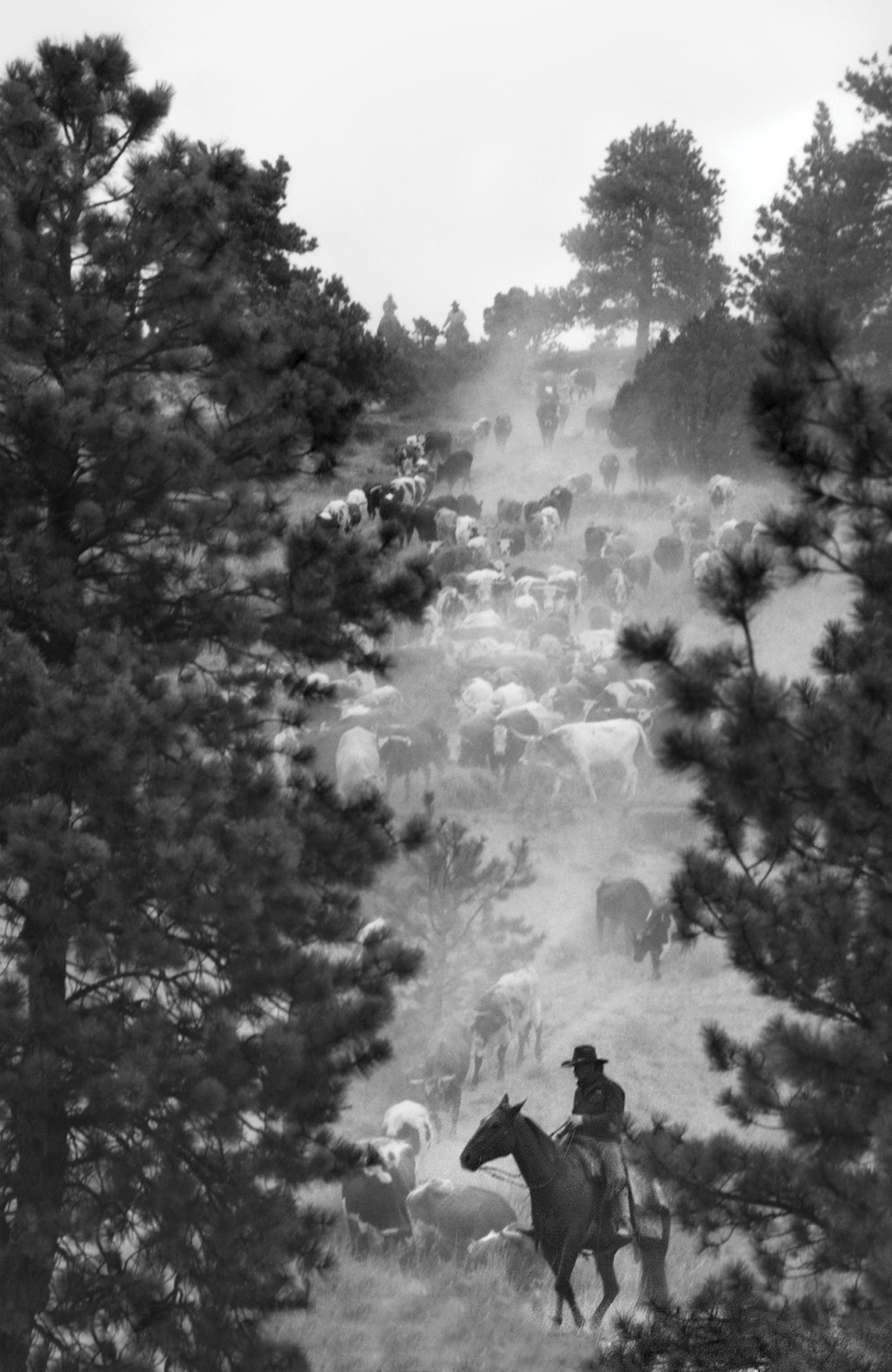 Oh sis, would you look at those clouds! – On Land