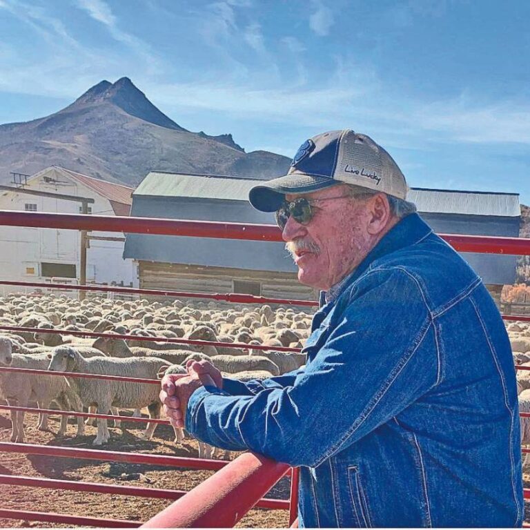 Pat O’Toole, Remembered – On Land