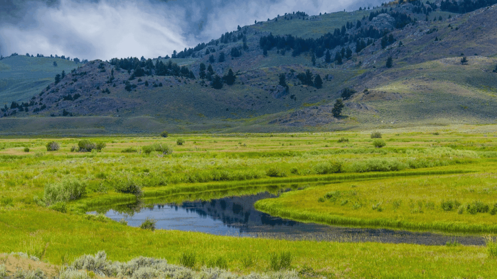 Ranching in reality: A perspective on the future from an old cowboy ...