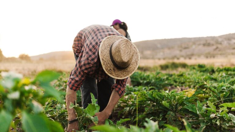 Farm Bill 2.0 Supports Wildlife Connectivity, But the Work Continues ...